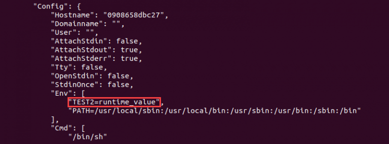 How To Set Docker Environment Variables Arg And Env