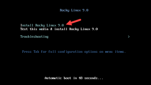 How to Install Rocky Linux {Step-by-Step Guide} | phoenixNAP KB