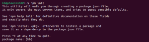 Package Json Quick Start Guide Phoenixnap Kb