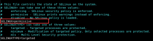 What Is SELinux (Security-Enhanced Linux)?