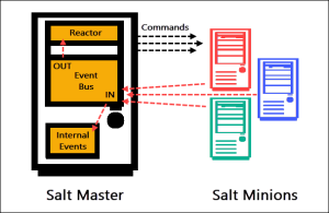 SaltStack vs. Ansible: Comprehensive Comparison | phoenixNAP KB