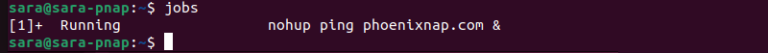 How To Run Linux Commands In Background Phoenixnap Kb