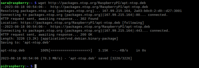 How to Monitor Network Traffic on Raspberry Pi | phoenixNAP KB