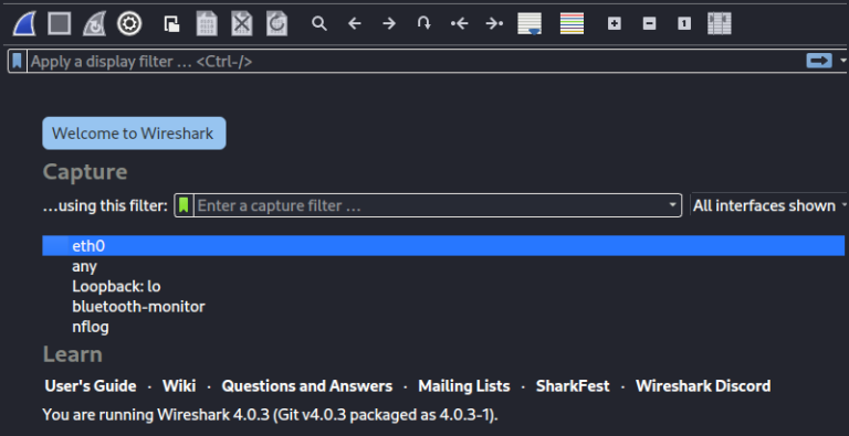 25 Best Kali Linux Tools