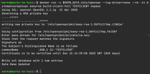 How to Install OpenVPN on Docker {7 Steps} | phoenixNAP KB