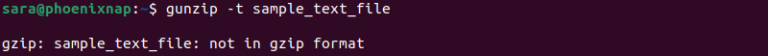 Gunzip Command in Linux With Examples {8 Examples}
