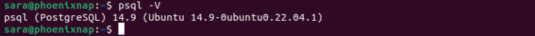 How to Check Your PostgreSQL Version | phoenixNAP KB