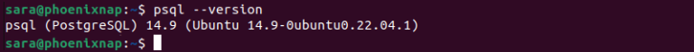 How to Check Your PostgreSQL Version | phoenixNAP KB