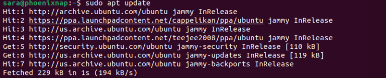 How to Fix Could not get lock /var/lib/dpkg/lock Error on Ubuntu