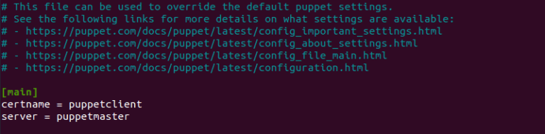 How to Install Puppet on Ubuntu 20.04 and 22.04 | phoenixNAP KB