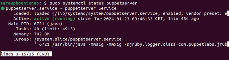 How to Install Puppet on Ubuntu 20.04 and 22.04 | phoenixNAP KB