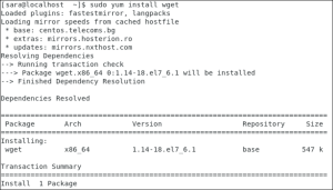 How to Use wget Command With Examples | phoenixNAP KB