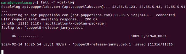 How to Use wget Command With Examples | phoenixNAP KB