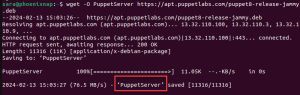 How to Use wget Command With Examples | phoenixNAP KB