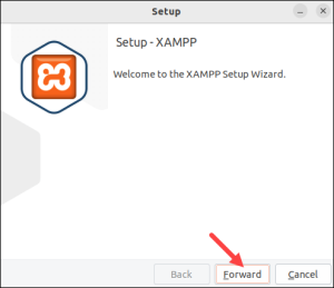 How to Install XAMPP in Ubuntu {With Screenshots}