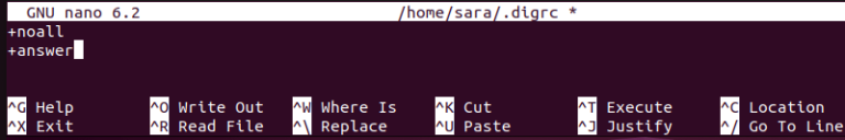 dig Command in Linux with Examples