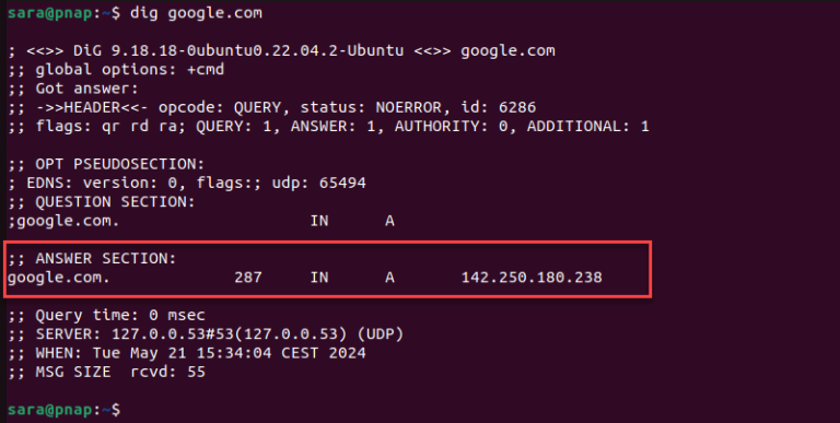 dig Command in Linux with Examples
