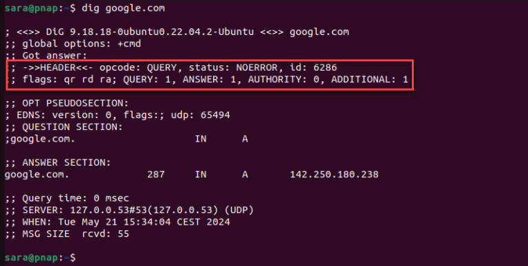 dig Command in Linux with Examples
