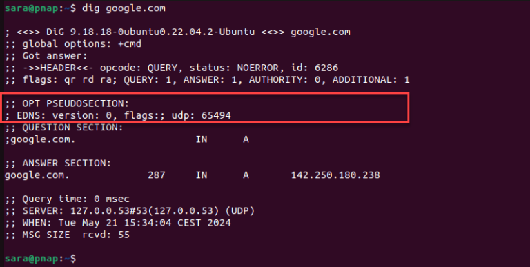 dig Command in Linux with Examples