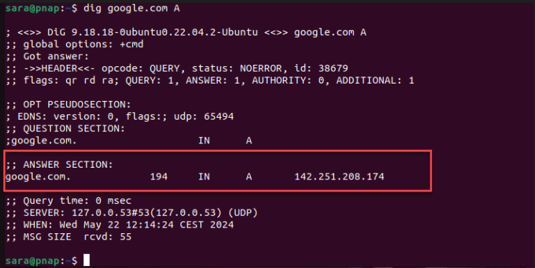 dig Command in Linux with Examples