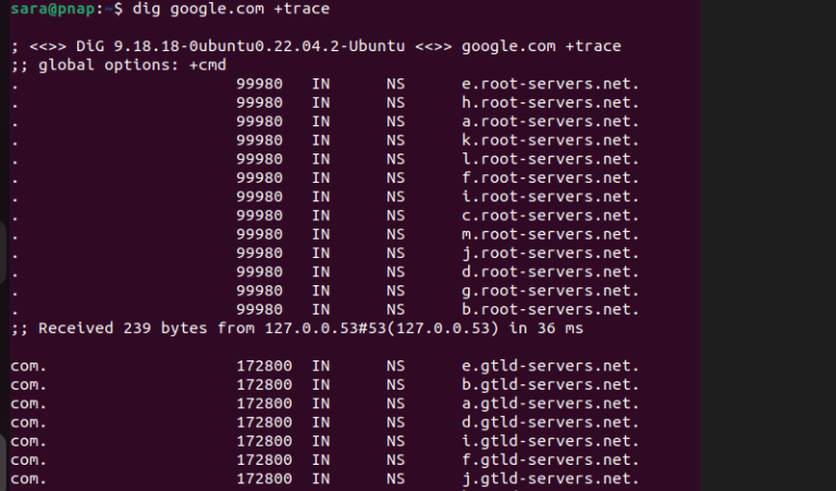 dig Command in Linux with Examples