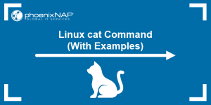 Linux cat Command (With Examples) | phoenixNAP KB