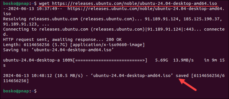 How to Install Ubuntu 24.04 (Noble Numbat)