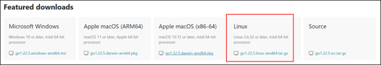 How to Install Go on Debian {Step-by-Step}