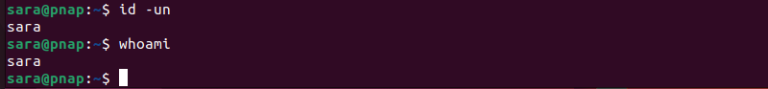 whoami Linux Command: Examples and Alternatives