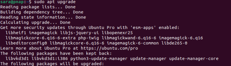 How to Use APT Package Manager | phoenixNAP KB