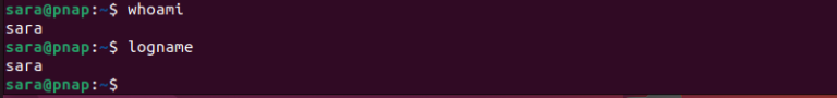 whoami Linux Command: Examples and Alternatives