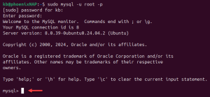 MySQL Show Users: How to List All Users in a MySQL Database
