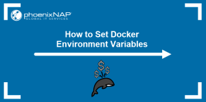 How to Set Docker Environment Variables