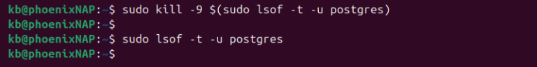 lsof Command in Linux {15 Practical Examples}