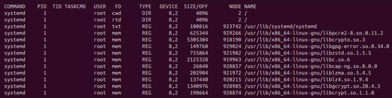 lsof Command in Linux {15 Practical Examples}