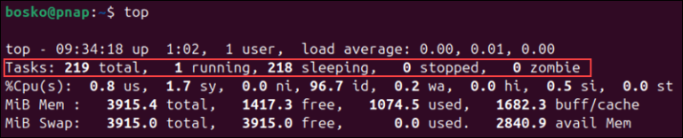 top Command in Linux: Syntax, Options, Examples
