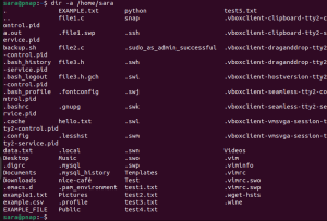 Show Hidden Files and Directories in Linux
