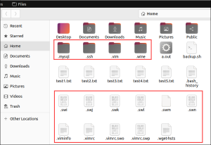 Show Hidden Files and Directories in Linux