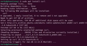 Linux curl Command: Syntax, Options, Protocols