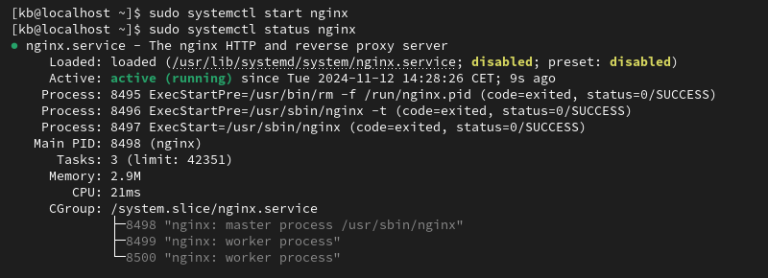 How to Install and Configure Nginx on CentOS and Rocky Linux