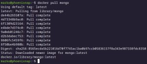 Installing MongoDB on Docker: Step-by-Step Guide and Deployment Tips