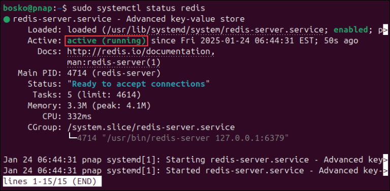 How to Install Redis on Ubuntu | phoenixNAP KB