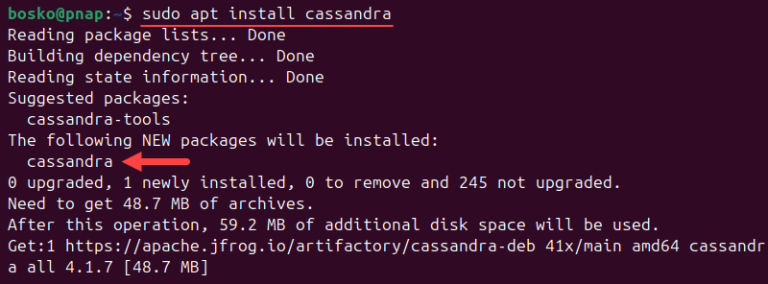 How to Install Cassandra on Ubuntu {5-Step Guide}