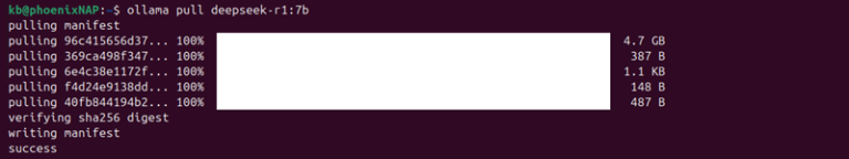 How to Install DeepSeek-R1 | phoenixNAP KB