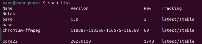 How to Install Snap on Ubuntu