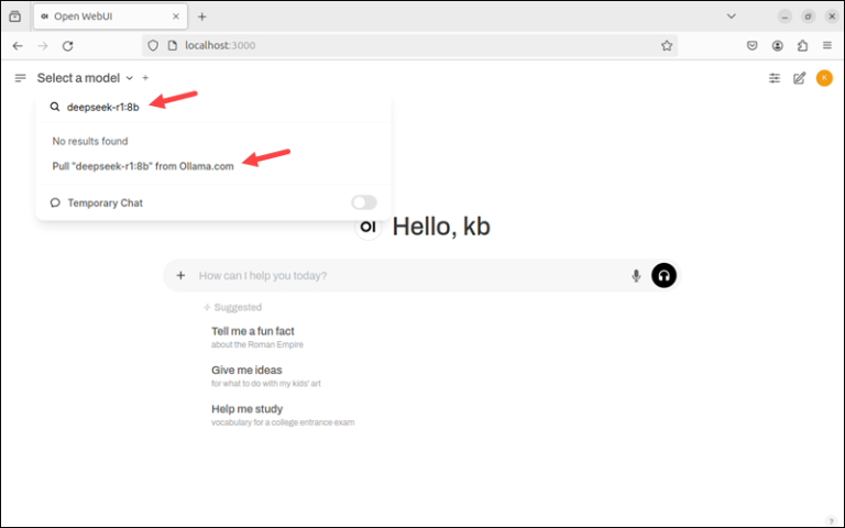 How to Install DeepSeek-R1 | phoenixNAP KB
