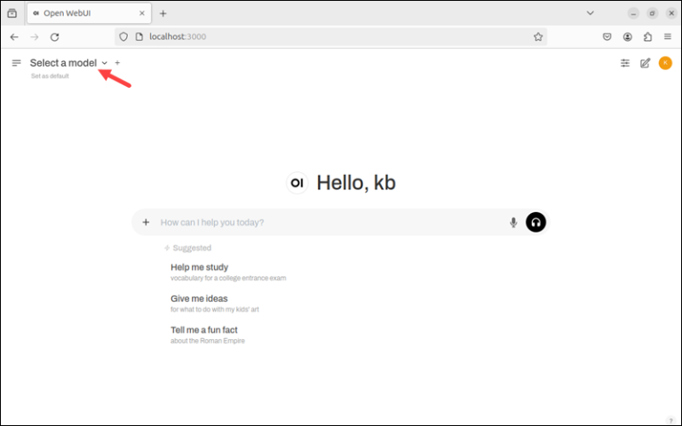 How to Install DeepSeek-R1 | phoenixNAP KB