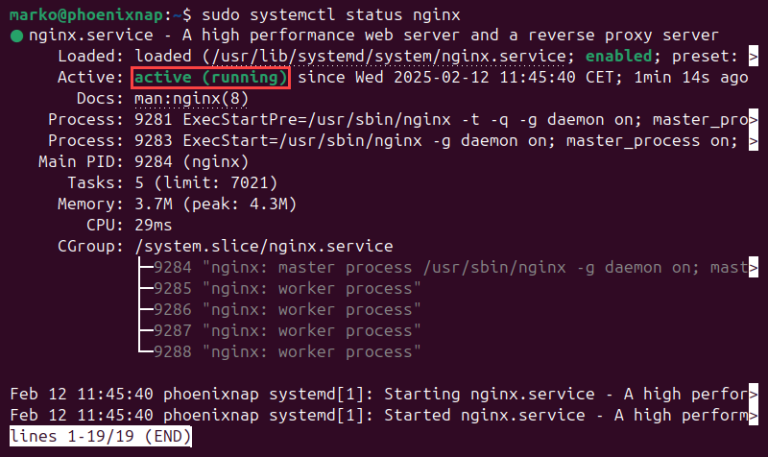 How to Install Nginx Web Server on Ubuntu 24.04