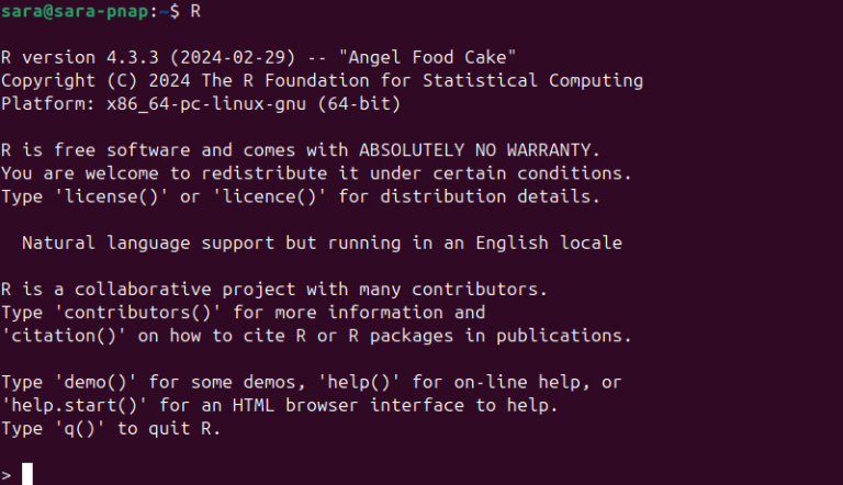 How to Install R on Ubuntu | phoenixNAP KB