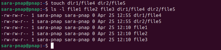 chmod Command in Linux: Syntax, Options, Examples